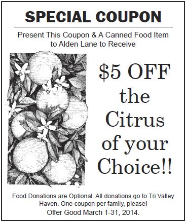 This Month's Promotions