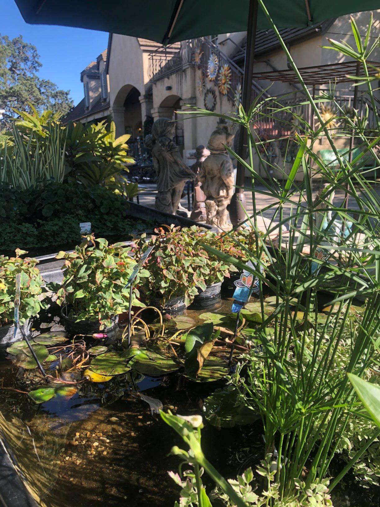 Cooling Water Features - Alden Lane Nursery