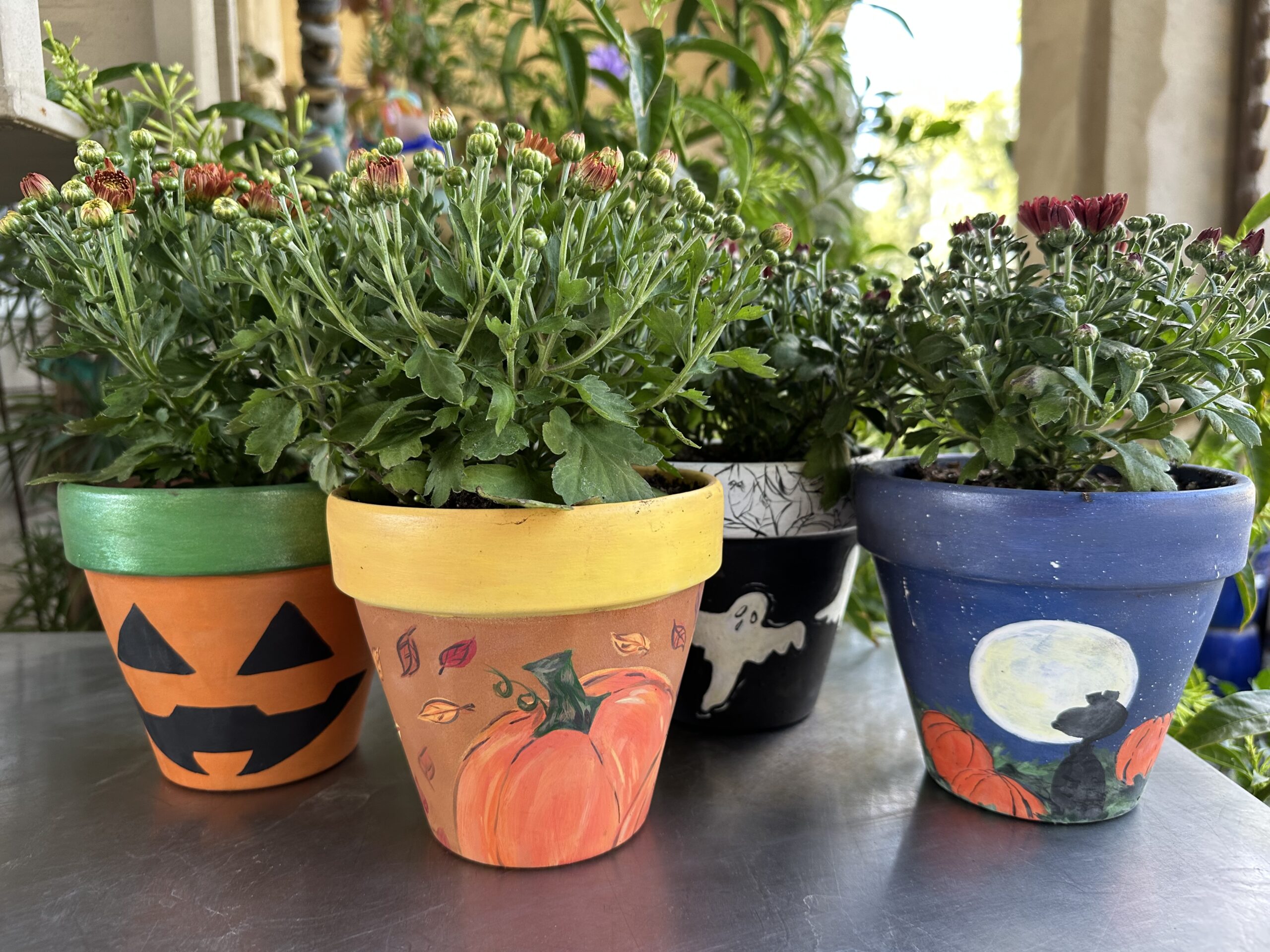 Fall Paint a Pot Workshop - Alden Lane Nursery