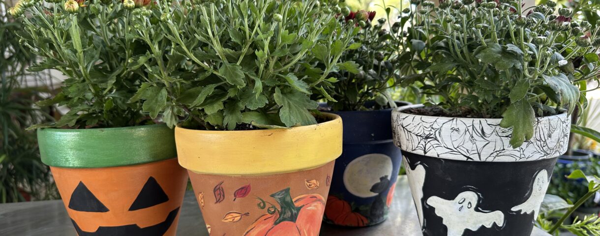 Fall Paint a Pot Workshop - Alden Lane Nursery