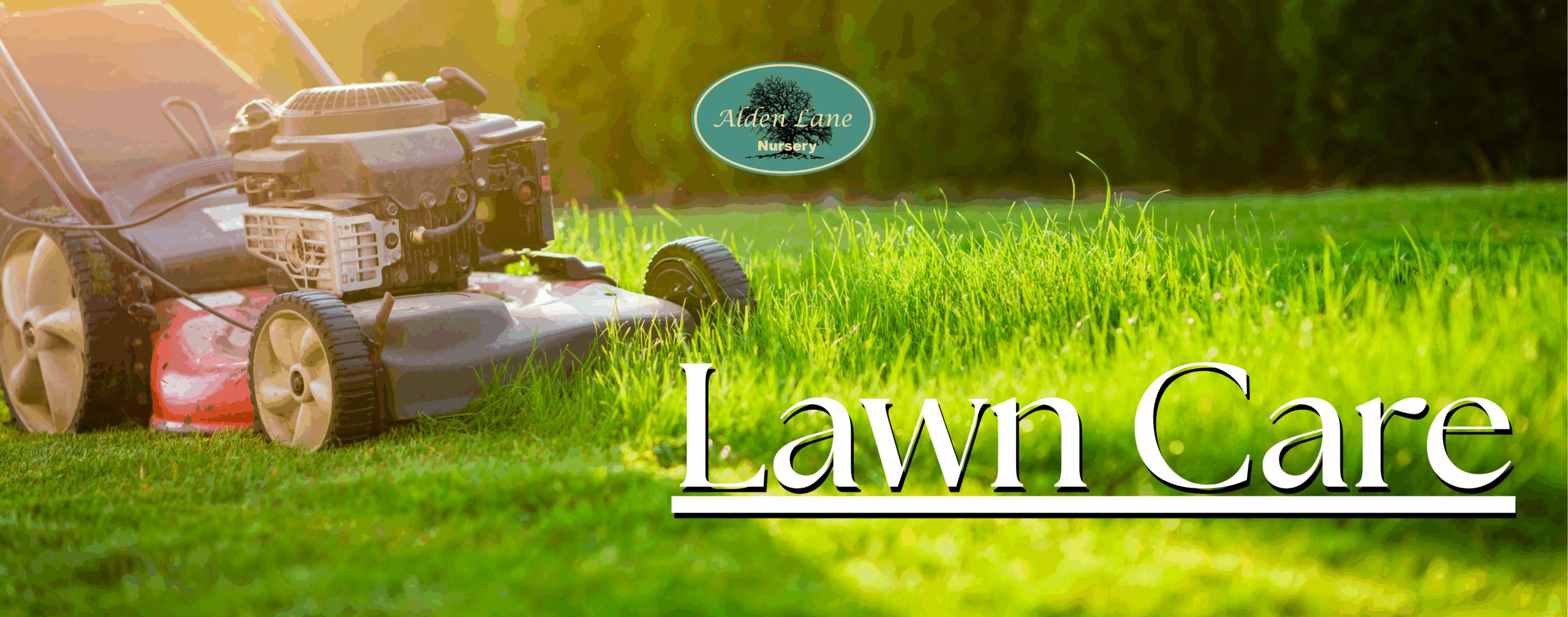 Garden Care Guides - Lawn - Alden Lane Nursery
