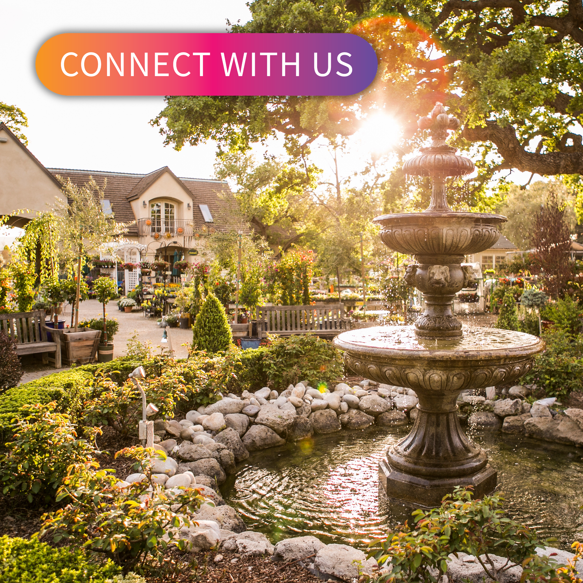 Welcome to Alden Lane! - Alden Lane Nursery